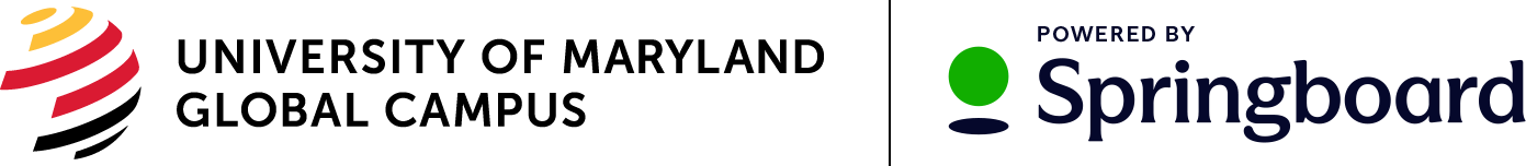 DMV Cybersecurity Bootcamp | UMGC Online