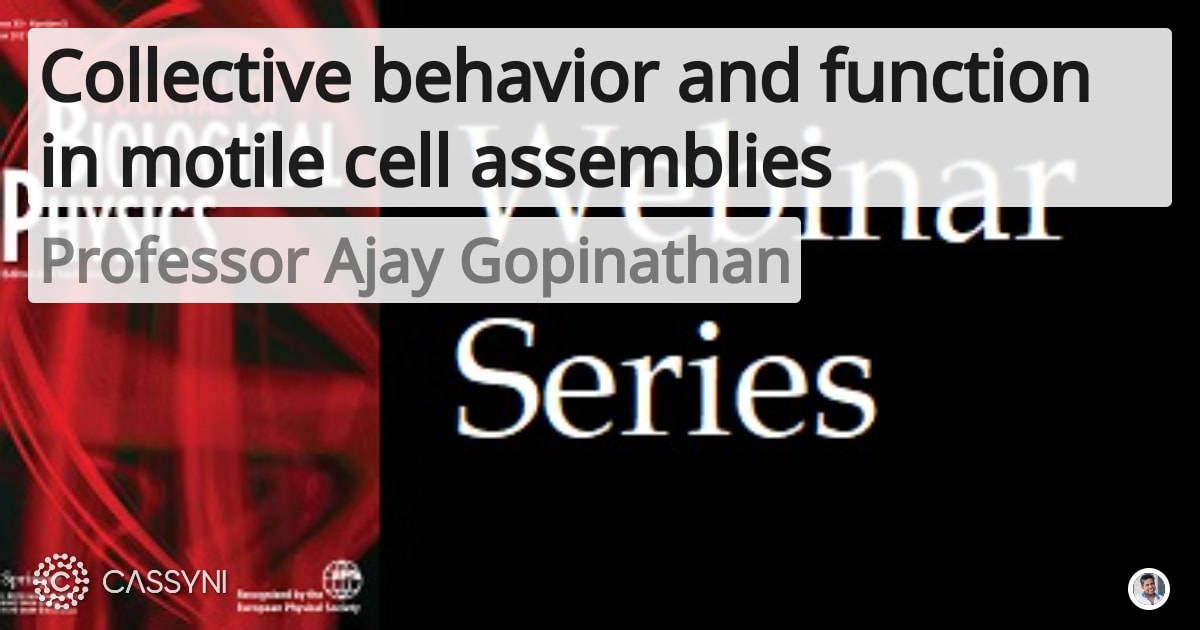 Collective behavior and function in motile cell assemblies - presented ...