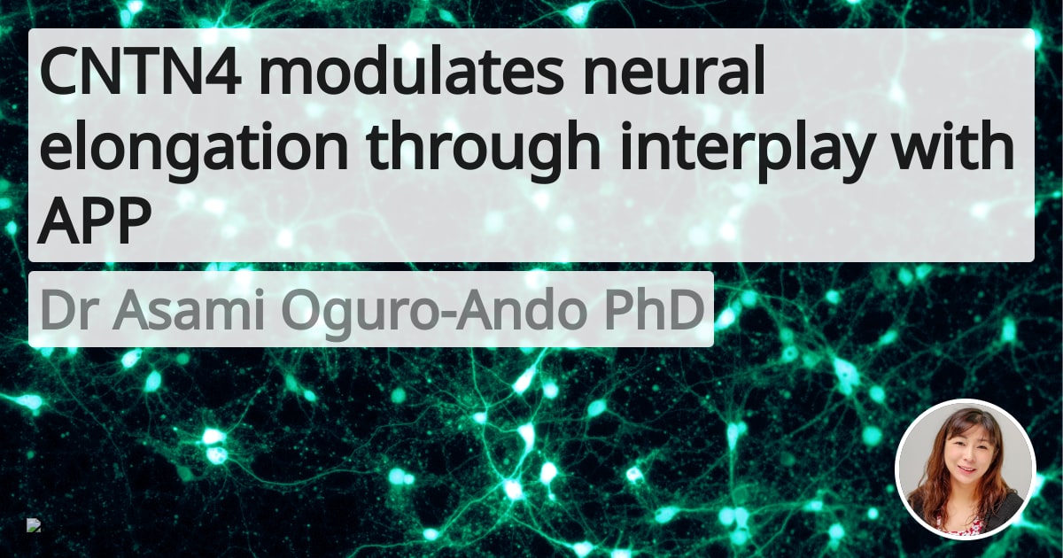CNTN4 modulates neural elongation through interplay with APP ...