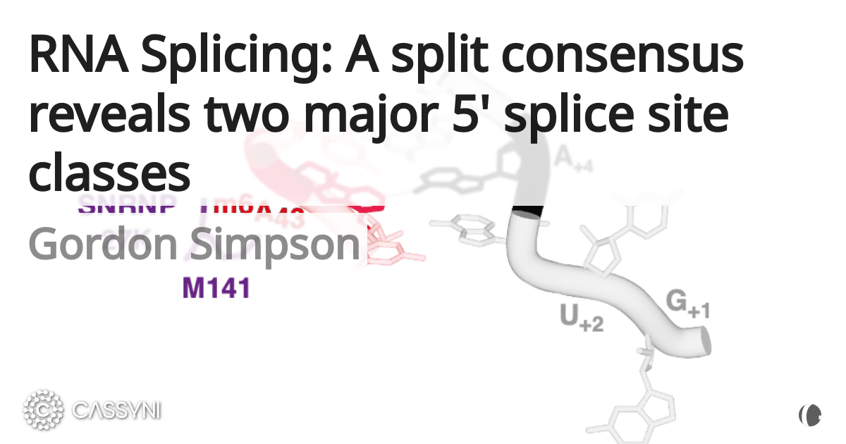 RNA Splicing: A split consensus reveals two major 5' splice site ...