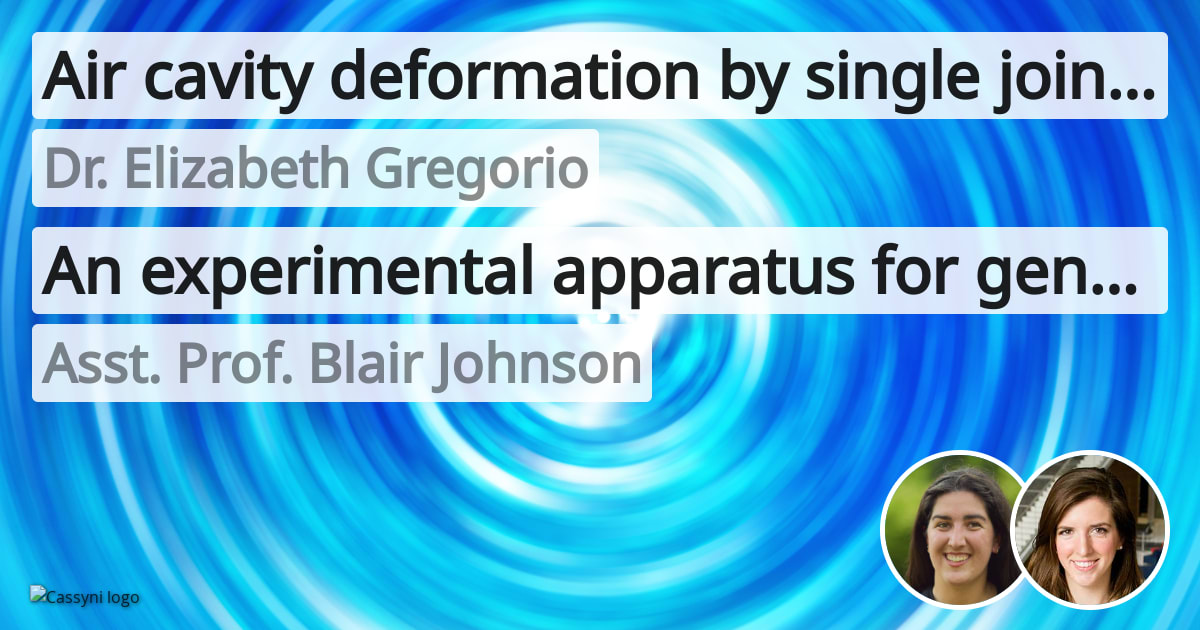 Air cavity deformation by single jointed diver model entry bodies ...