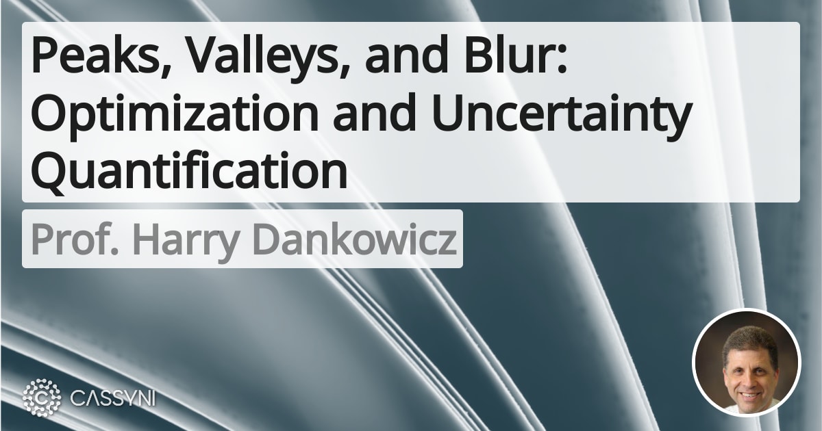 Peaks, Valleys, and Blur: Optimization and Uncertainty Quantification ...