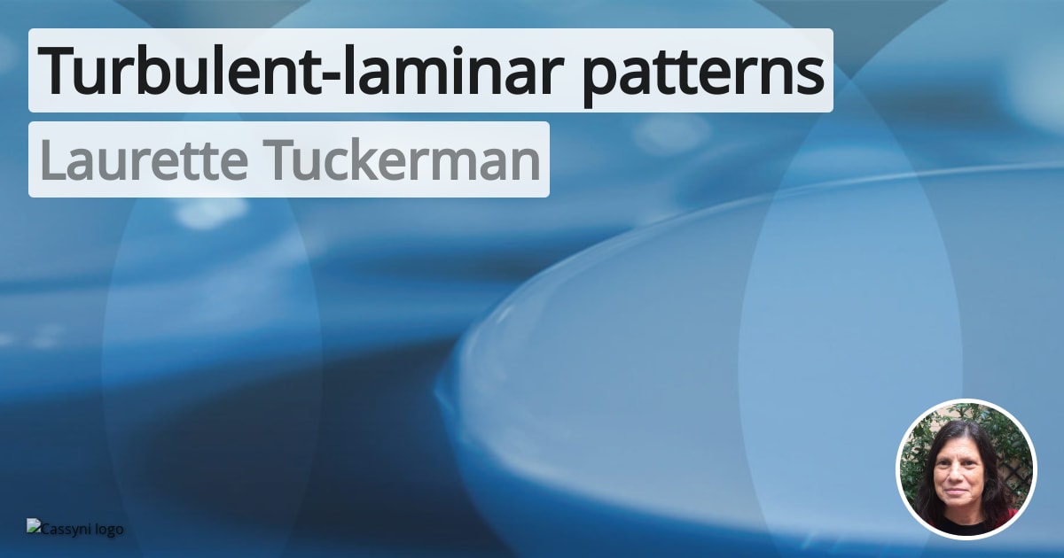 Turbulent-laminar patterns - presented by Laurette Tuckerman