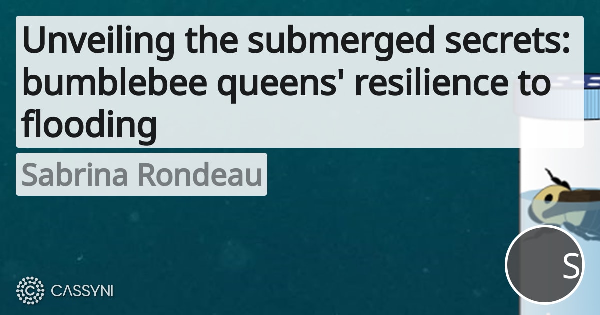 Slide Outline for Unveiling the submerged secrets: bumblebee queens ...