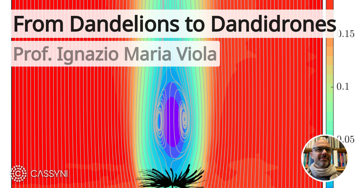 From Dandelions to Dandidrones - presented by Prof. Ignazio Maria Viola