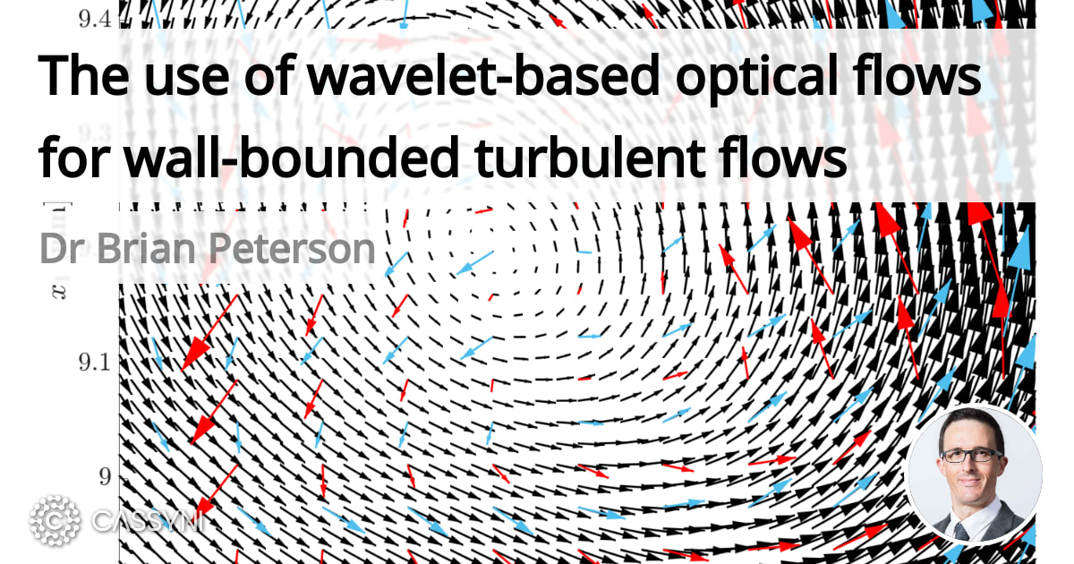 The use of wavelet-based optical flows for wall-bounded turbulent flows ...