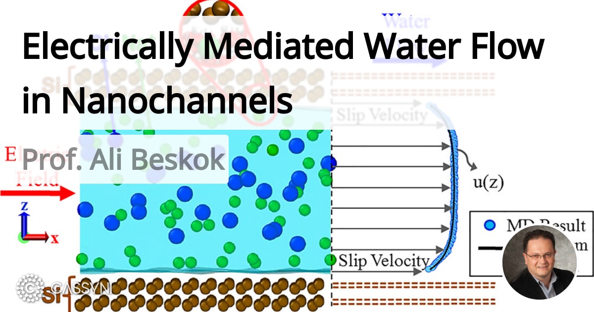 Electrically Mediated Water Flow in Nanochannels - presented by Prof. Ali Beskok