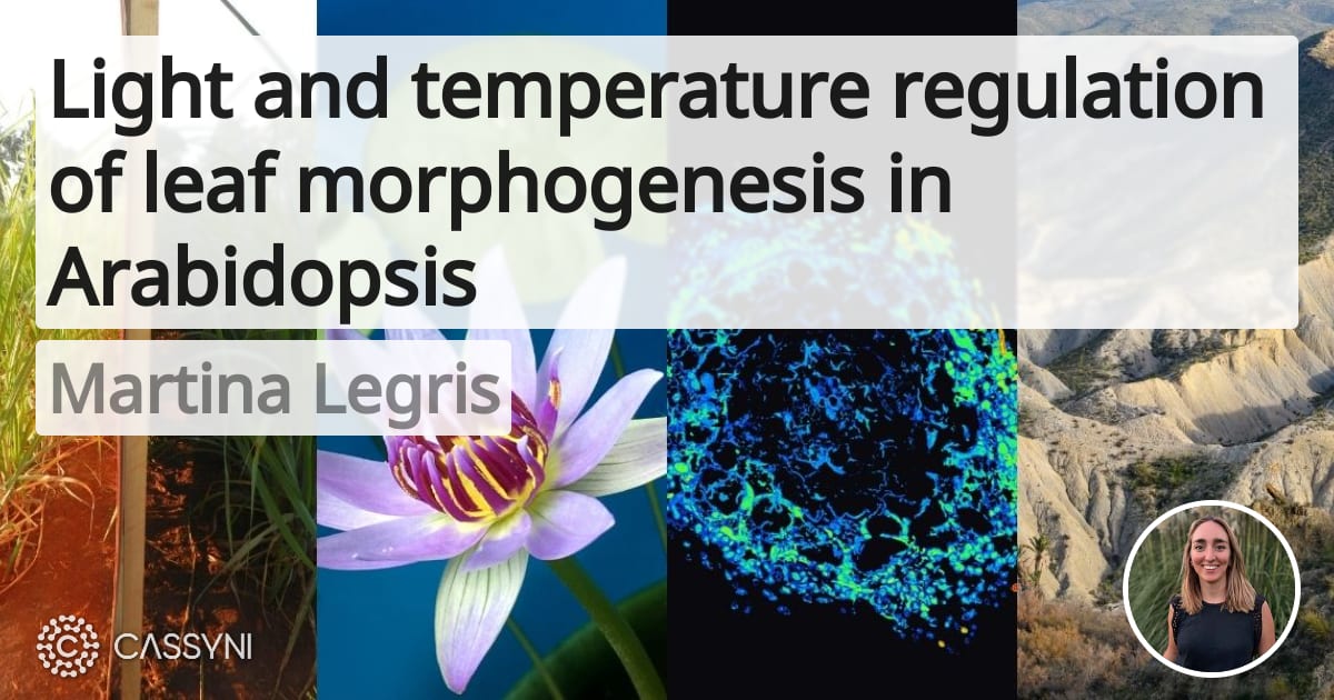 Light and temperature regulation of leaf morphogenesis in Arabidopsis - presented by Martina Legris