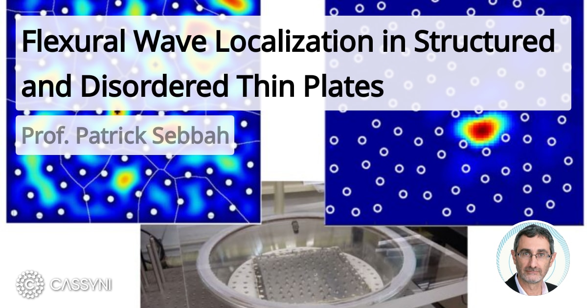 Flexural Wave Localization in Structured and Disordered Thin Plates ...