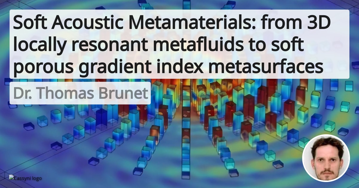 Soft Acoustic Metamaterials: from 3D locally resonant metafluids to ...