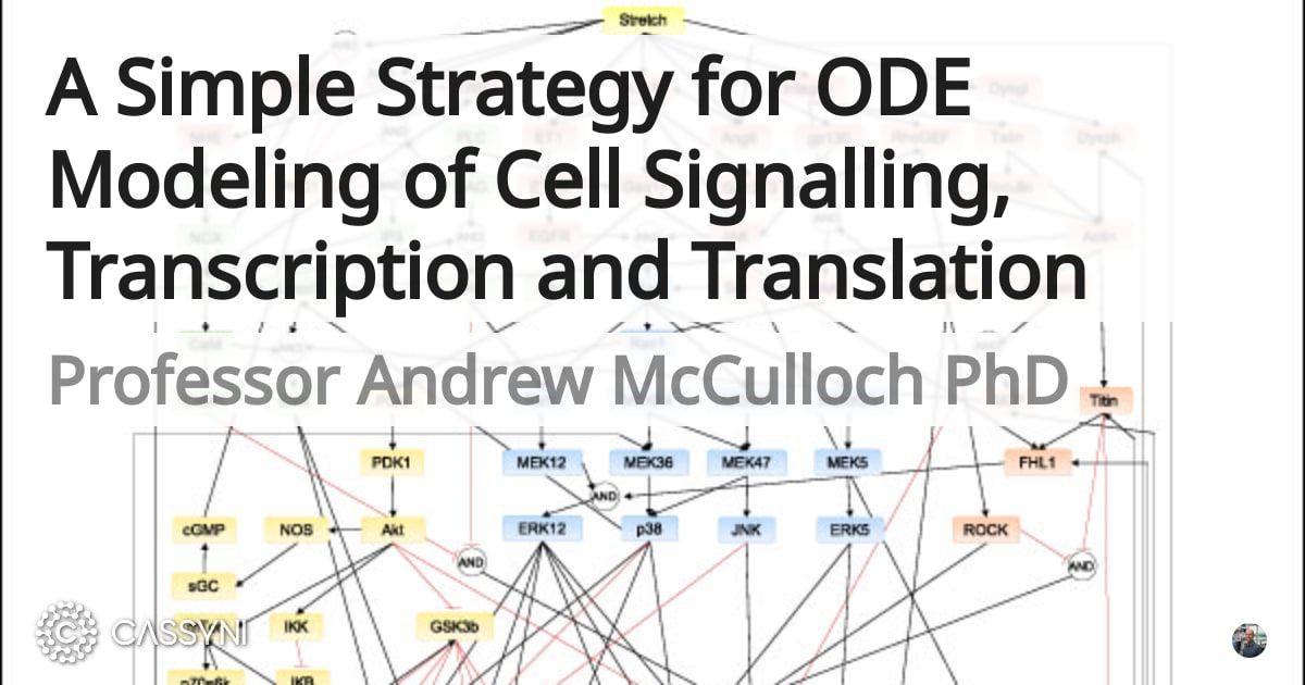 A Simple Strategy for ODE Modeling of Cell Signalling, Transcription ...