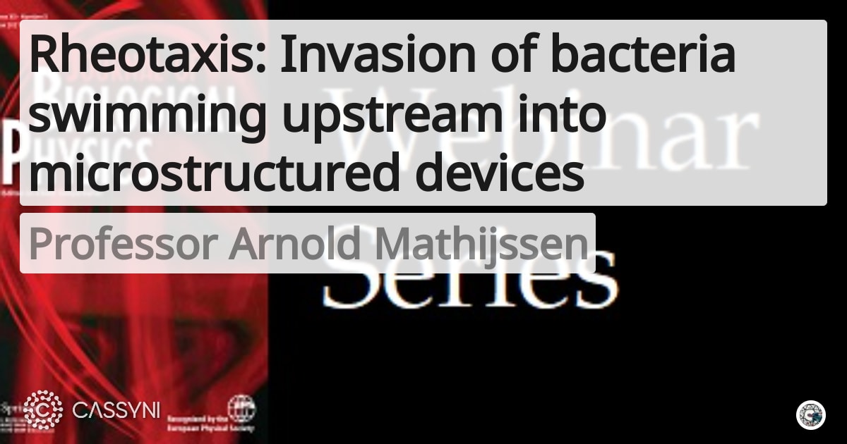 Rheotaxis: Invasion of bacteria swimming upstream into microstructured ...