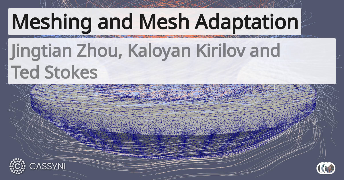 Meshing and Mesh Adaptation: High-Order h-adaptation - Applications in ...