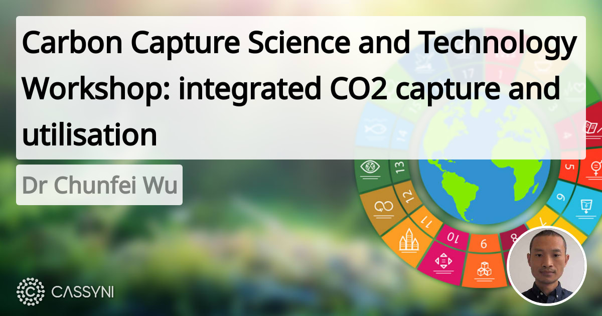 Carbon Capture Science and Technology Workshop: integrated CO2 capture ...
