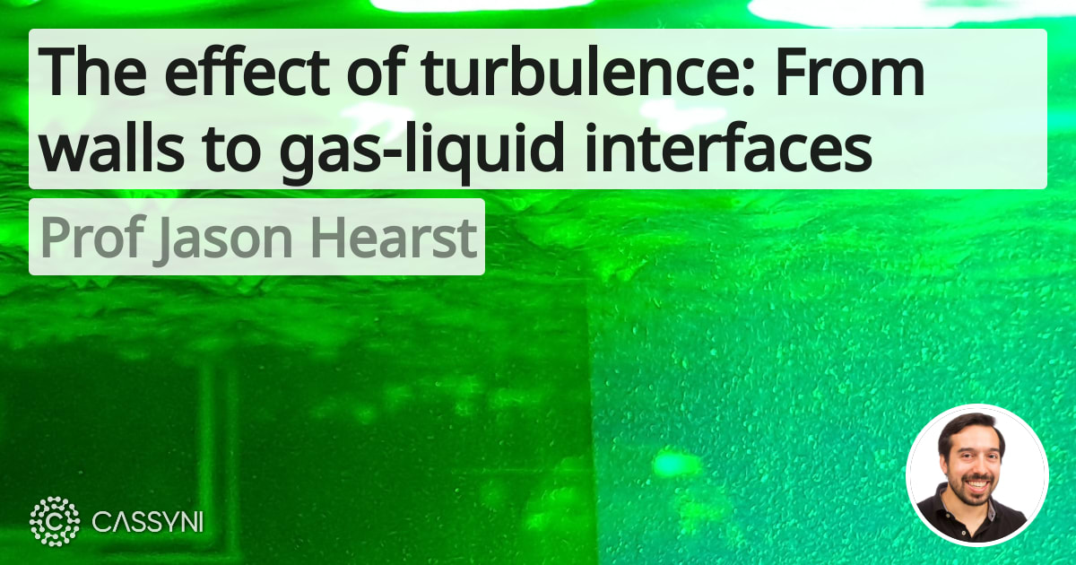 The effect of turbulence: From walls to gas-liquid interfaces ...