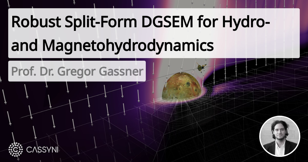 Robust Split-Form DGSEM for Hydro- and Magnetohydrodynamics - presented ...