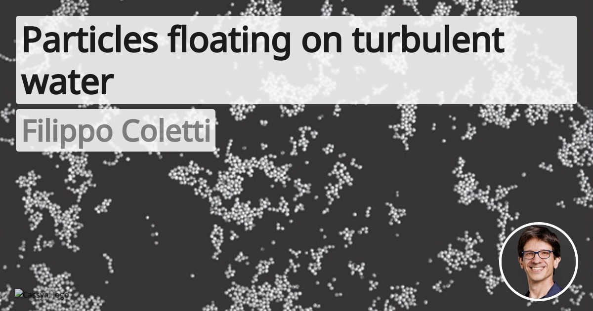 Particles floating on turbulent water - presented by Filippo Coletti