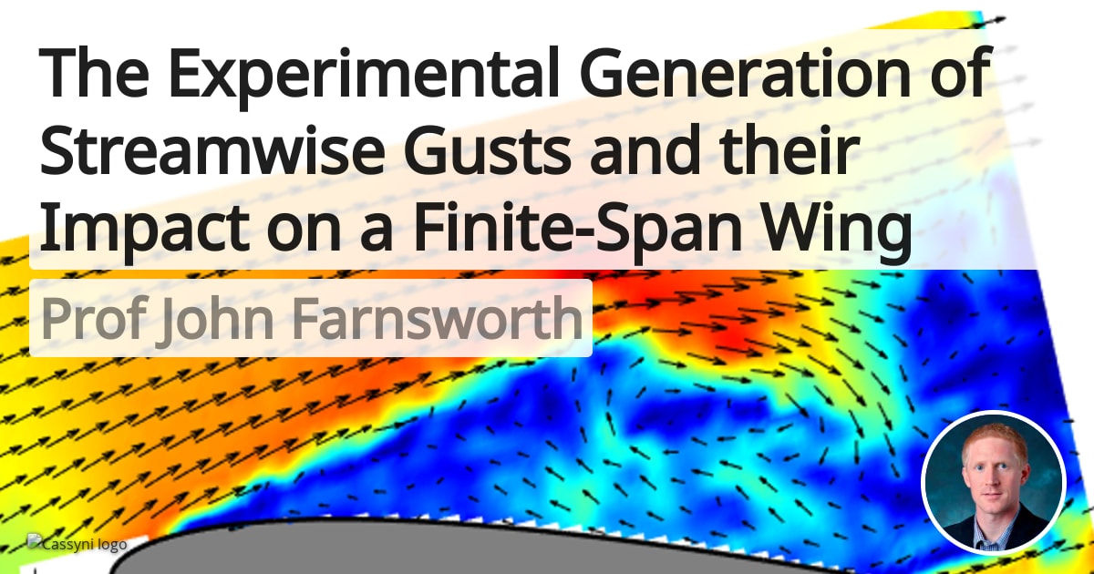 The Experimental Generation of Streamwise Gusts and their Impact on a ...