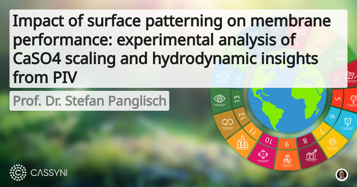 Impact of surface patterning on membrane performance: experimental ...