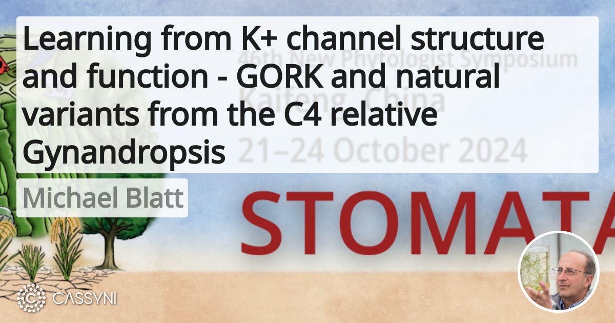 Learning from K+ channel structure and function - GORK and natural ...
