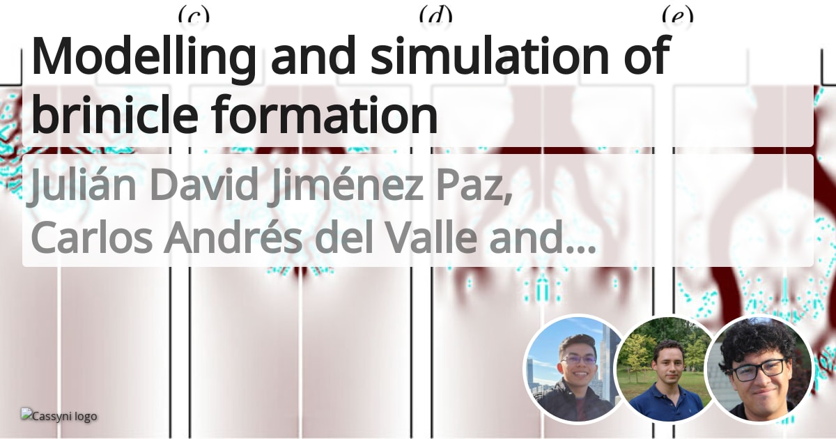 Modelling and simulation of brinicle formation - presented by Julián ...