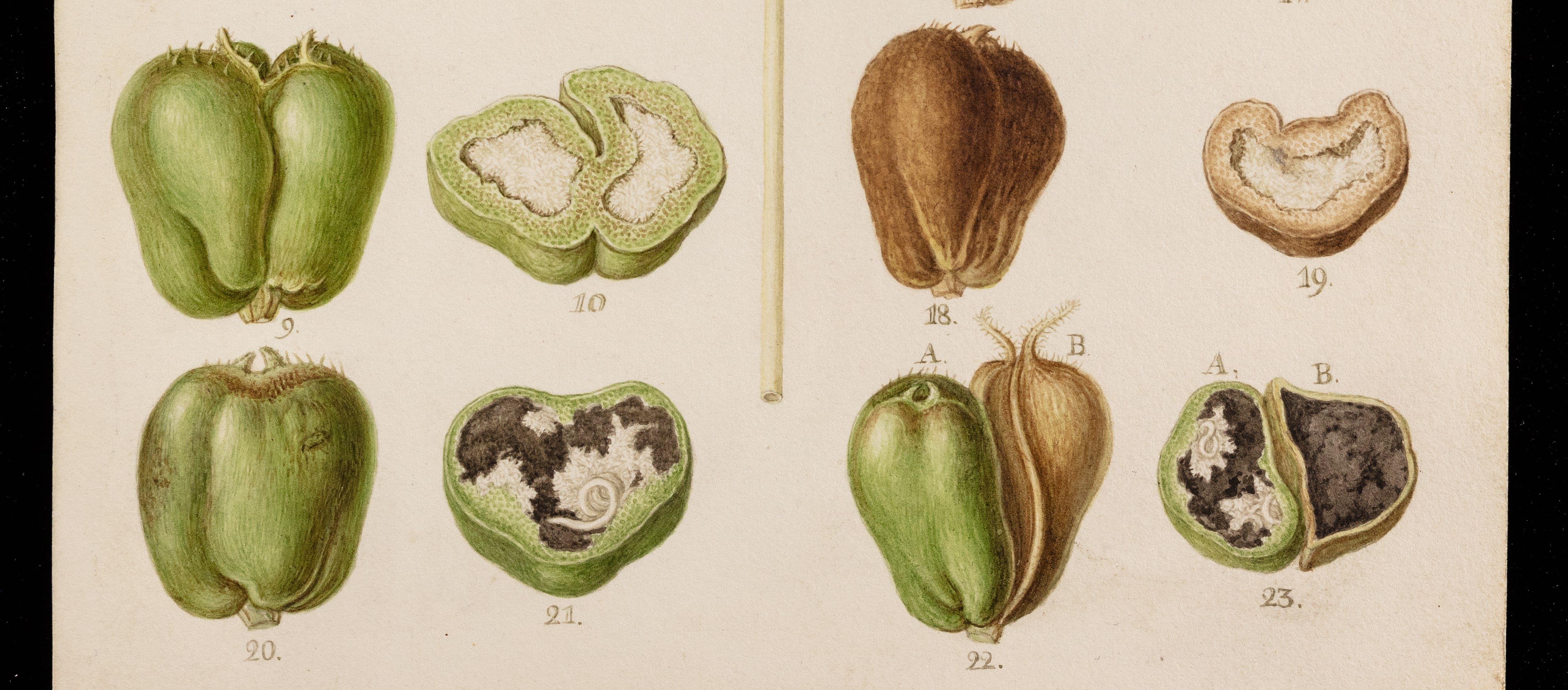 Roundtable: Science in the Making - presented by Dr Louisiane Ferlier ...