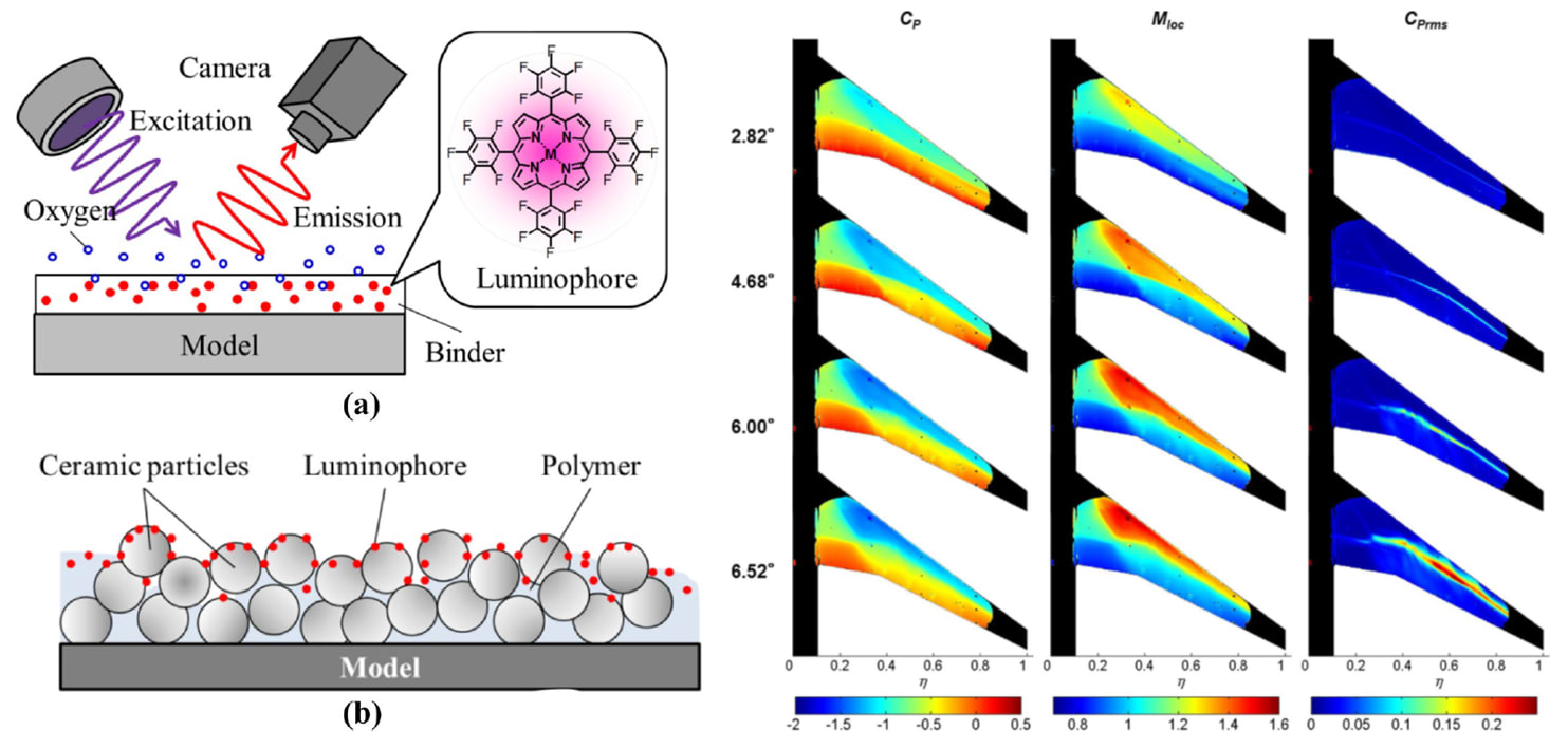 Unsteady Pressure-Sensitive Paint and Its Application to Transonic Buffet Studies - presented by ...