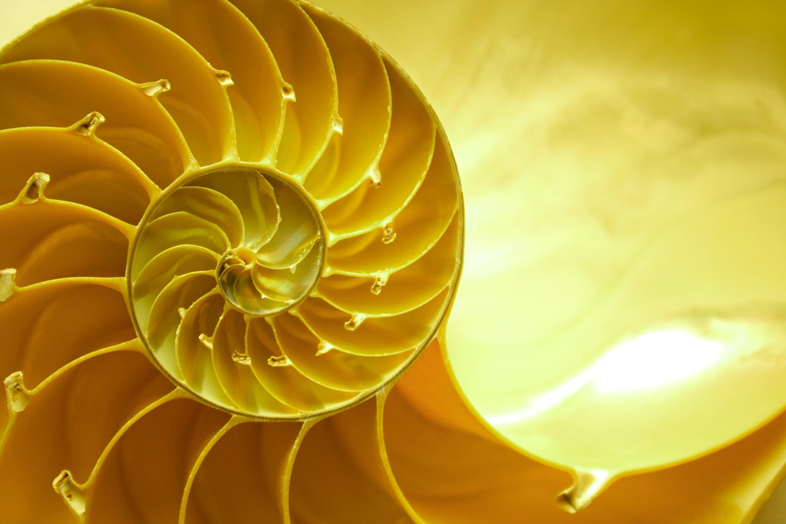 Logica Universalis Webinar · Cassyni