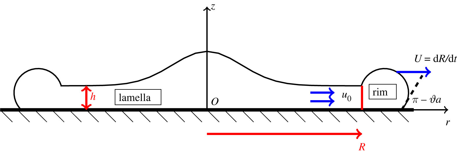 Bounds on the spreading radius in droplet impact: the inviscid case ...