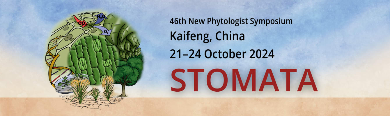 Learning from the past and anticipating the future in stomatal ...