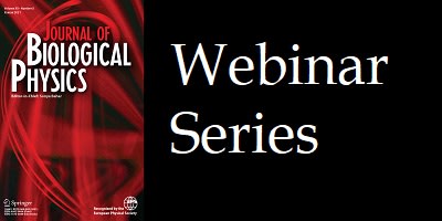 Collective behavior and function in motile cell assemblies - presented ...
