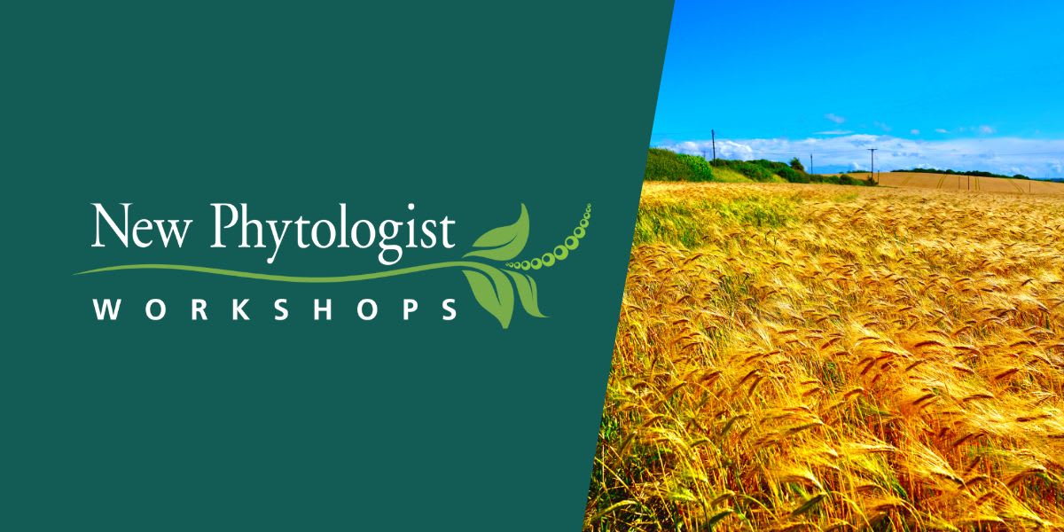 Introducing Transformative Plant Biotechnology: Multi-Knock – a multi-targeted transportome ...