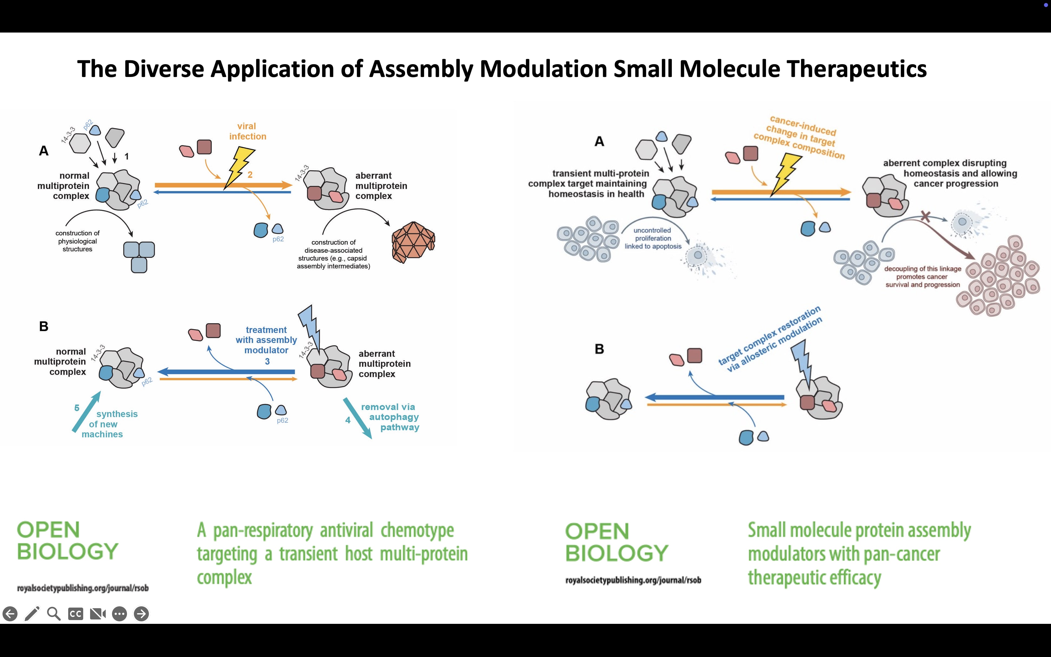 Assembly Modulation: An Emergent Drug Discovery Strategy Revealed by ...