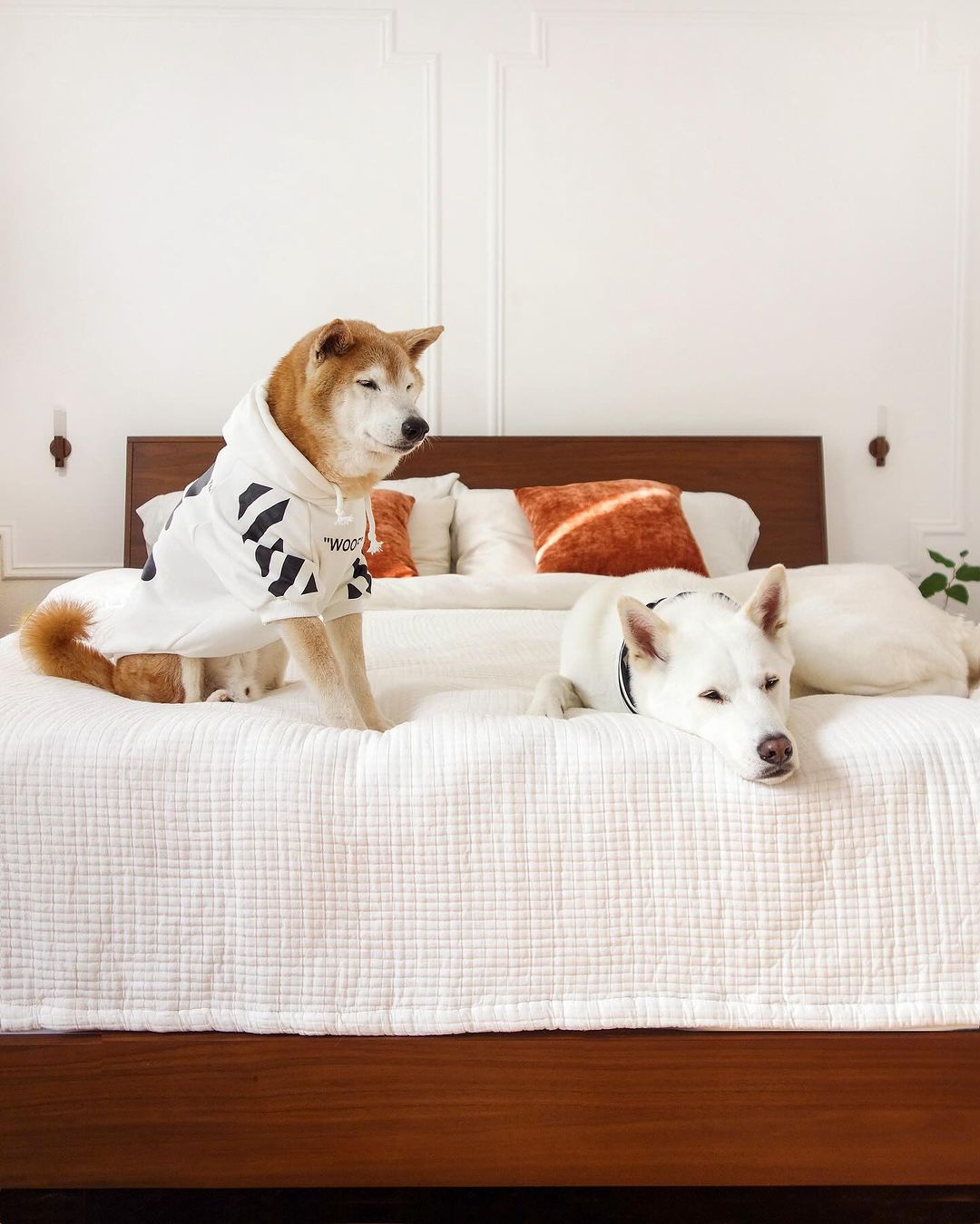 Bed Sizes and Dimensions Guide (Twin to King Beds & More) | Castlery US