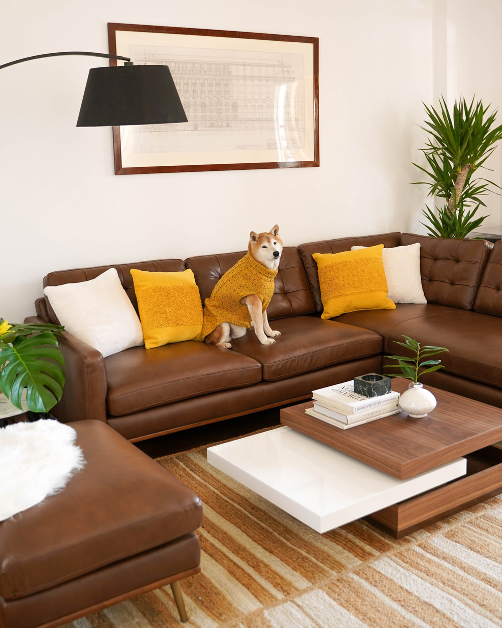 Brown Leather Sofa Styling: 8 Decor Ideas | Castlery US