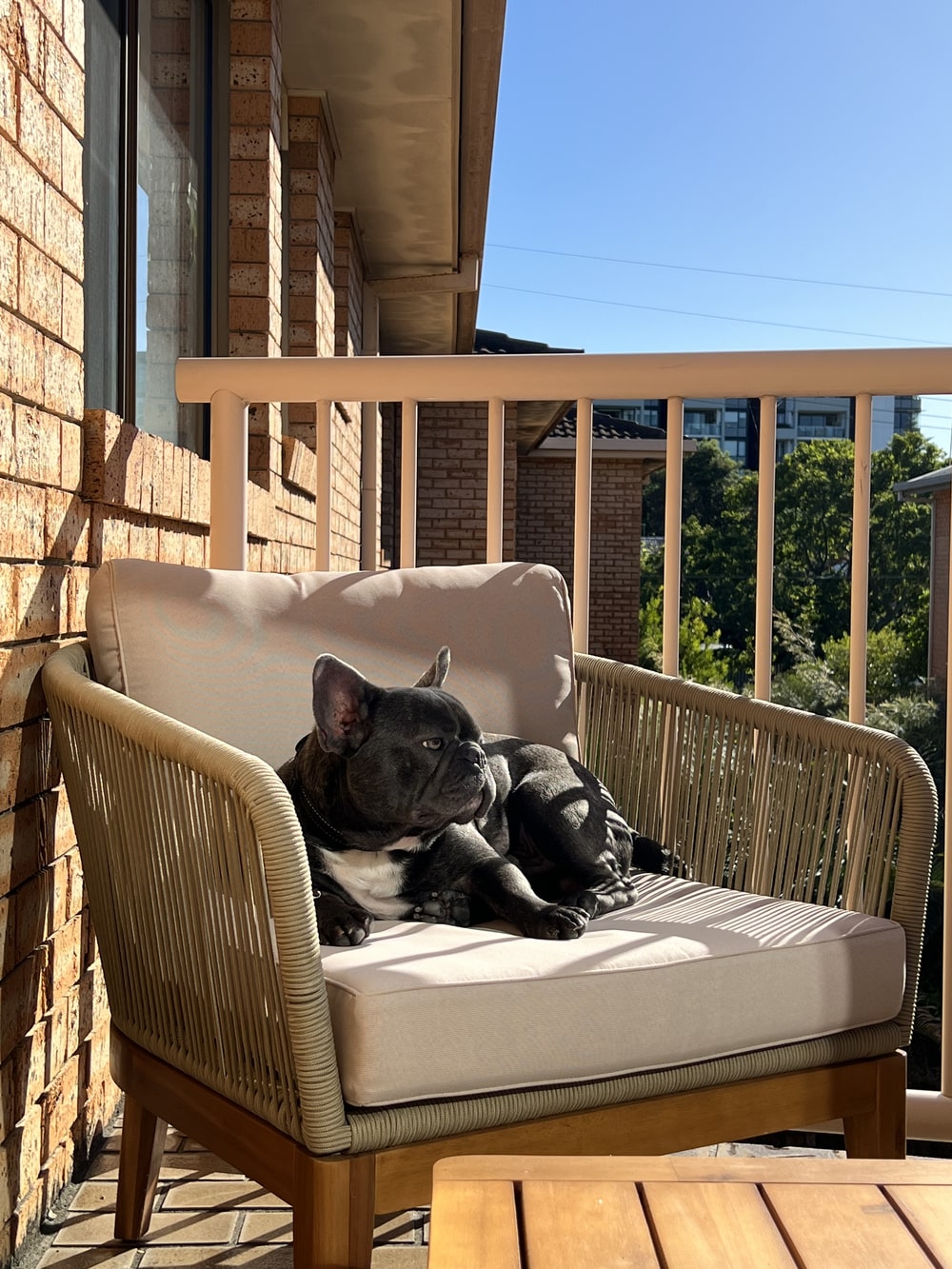 6 Outdoor Dining & Lounge Sets Built for Long Lunches and Lazy Days ...