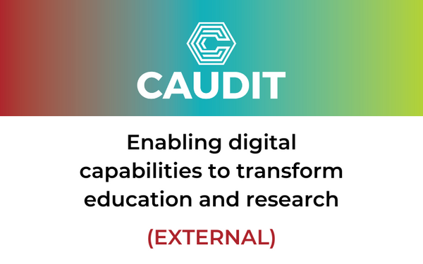 CAUDIT: Delivering Value Flyer
