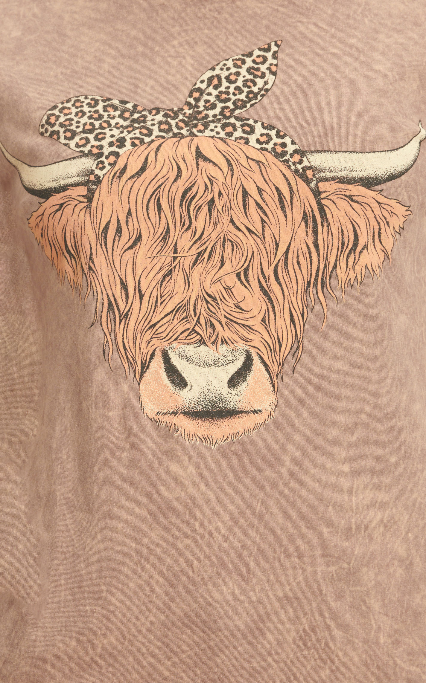 Lotus Fashion Women's Mocha Cinnamon Highland Cow Graphic Short Sleeve ...