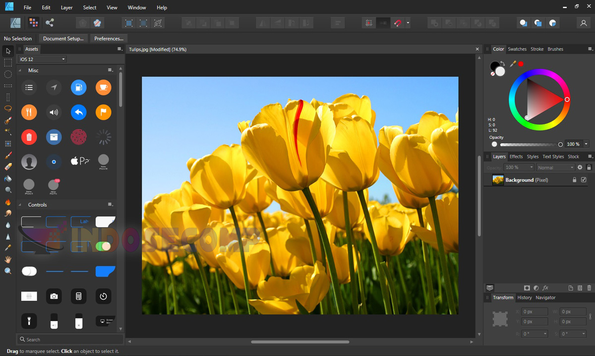 Affinity Designer 1.10.1.1142 Full Repack | Indosecomp