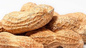 ONOMO Hotel Maputo, subtle blend of audacity, contemporary art and ...