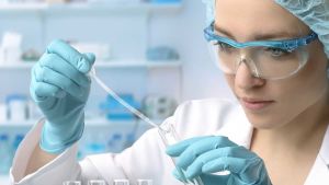 Ukraine is considering ban on potato imports from Russia | Agrifish ...