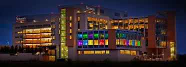 Simple to use ABA Practice Management Software | AlohaABA