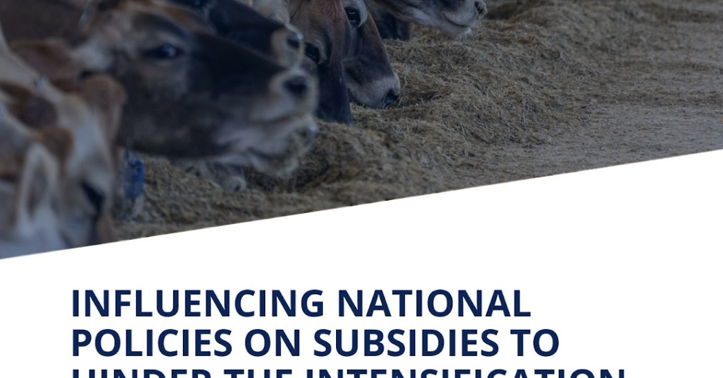 Slowing down factory farming in Sub Saharan Africa: Influencing ...