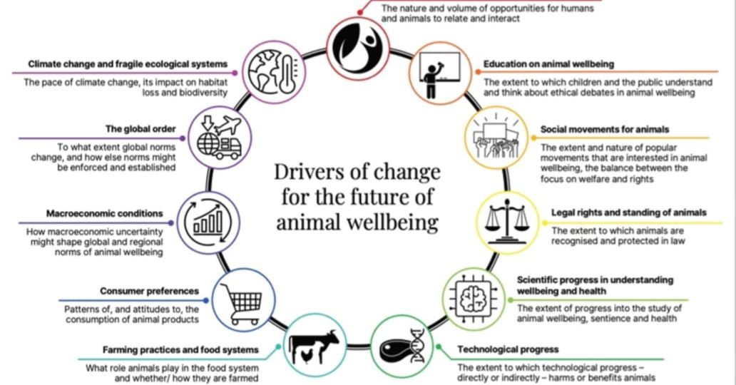 The Future of Animal Wellbeing in 2050 — EA Forum