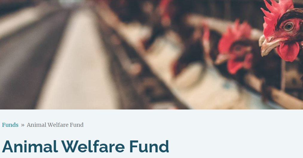 EA Animal Welfare Fund: 2024 Review, Changes, and Plans — EA Forum