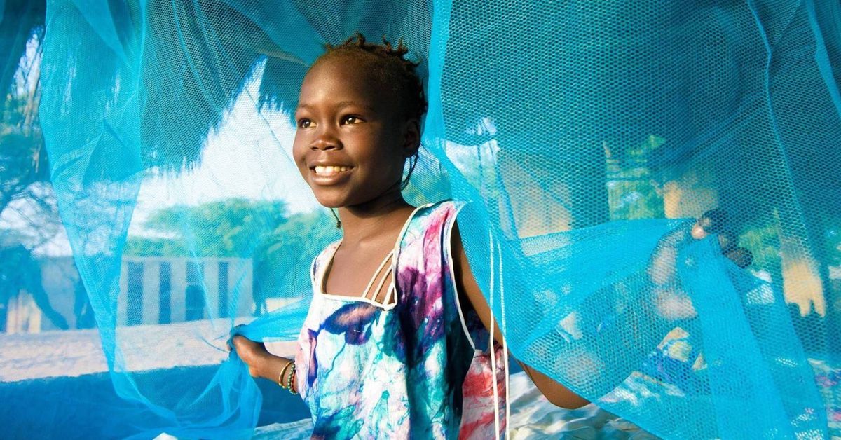 AMA: Founder and CEO of the Against Malaria Foundation, Rob Mather — EA Forum