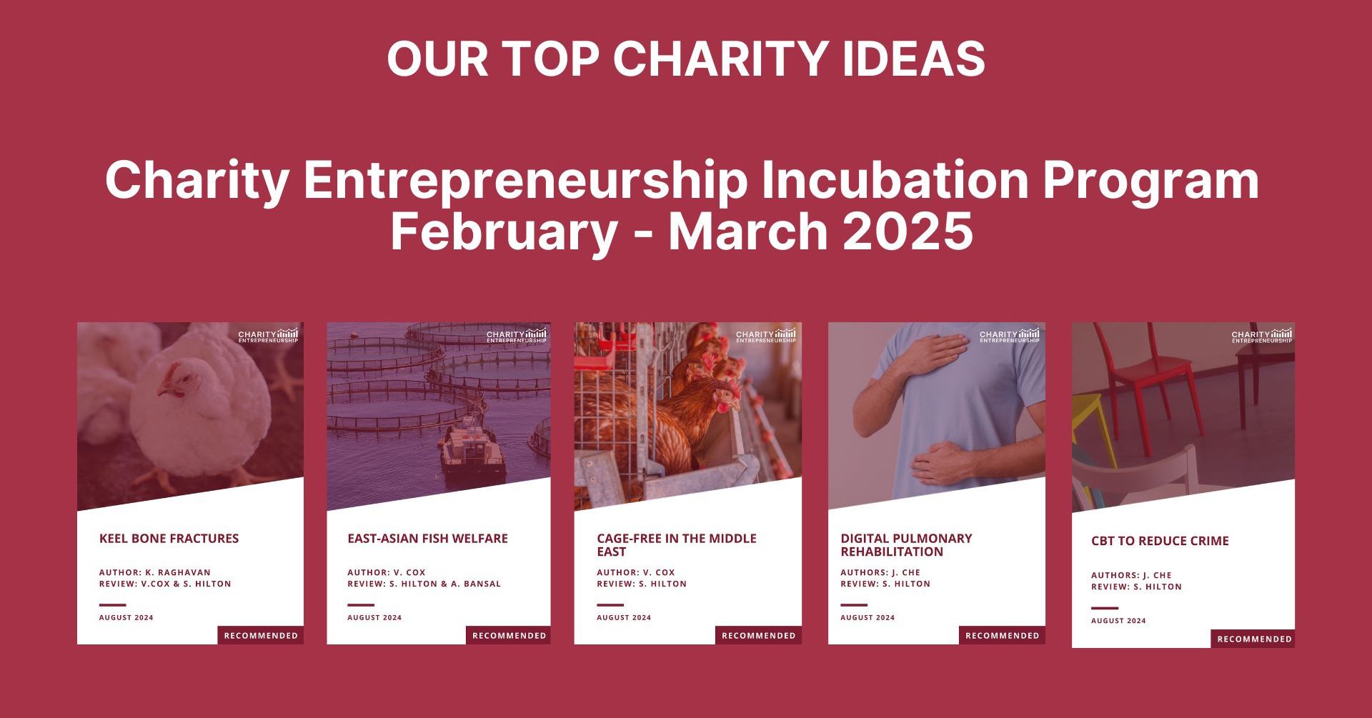 Our Recommended Charity Ideas for February 2025 — EA Forum