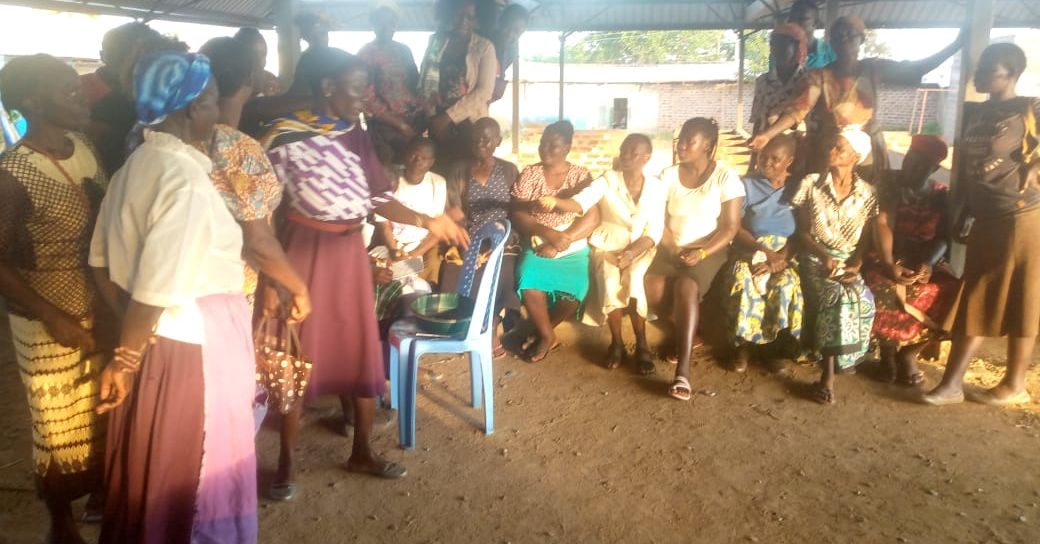Empowering Widows through Collective Farming — EA Forum