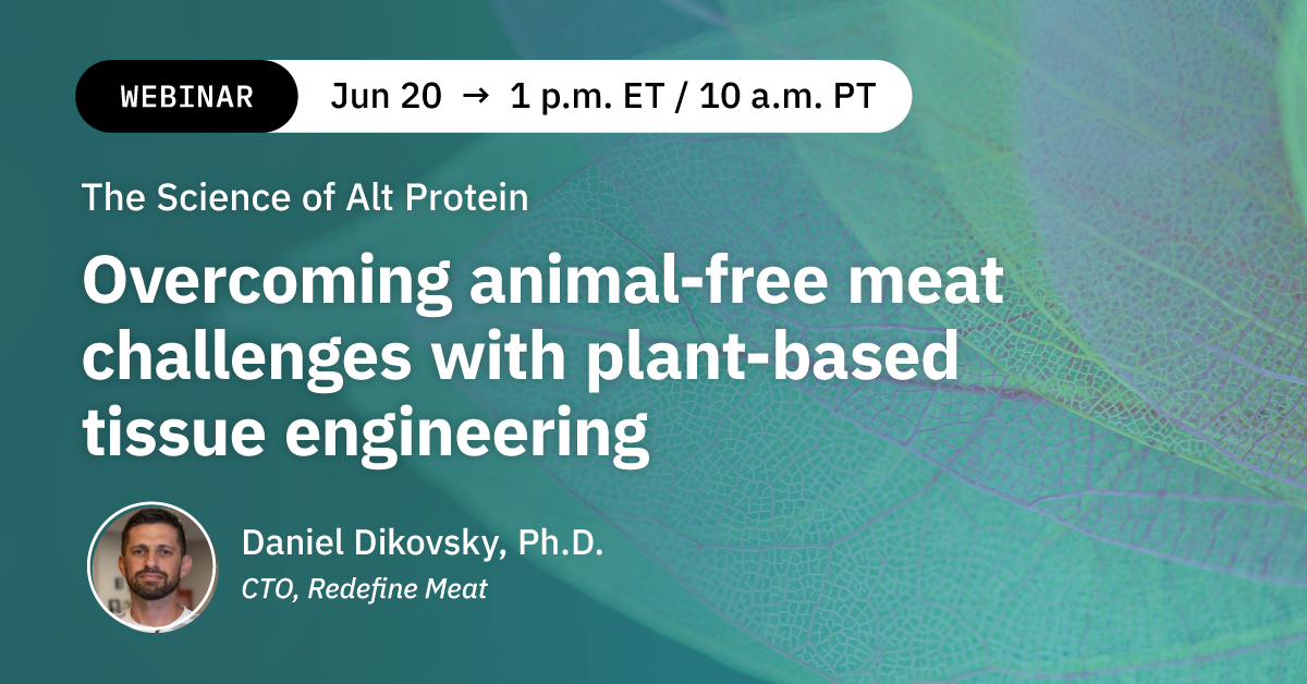 The Science of Alt Protein: Overcoming animal-free meat challenges with ...