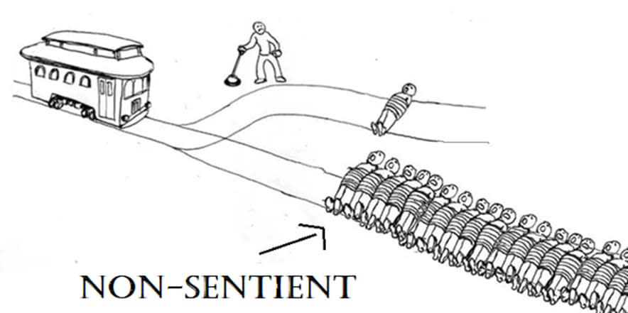 On the Moral Patiency of Non-Sentient Beings (Part 1) — EA Forum